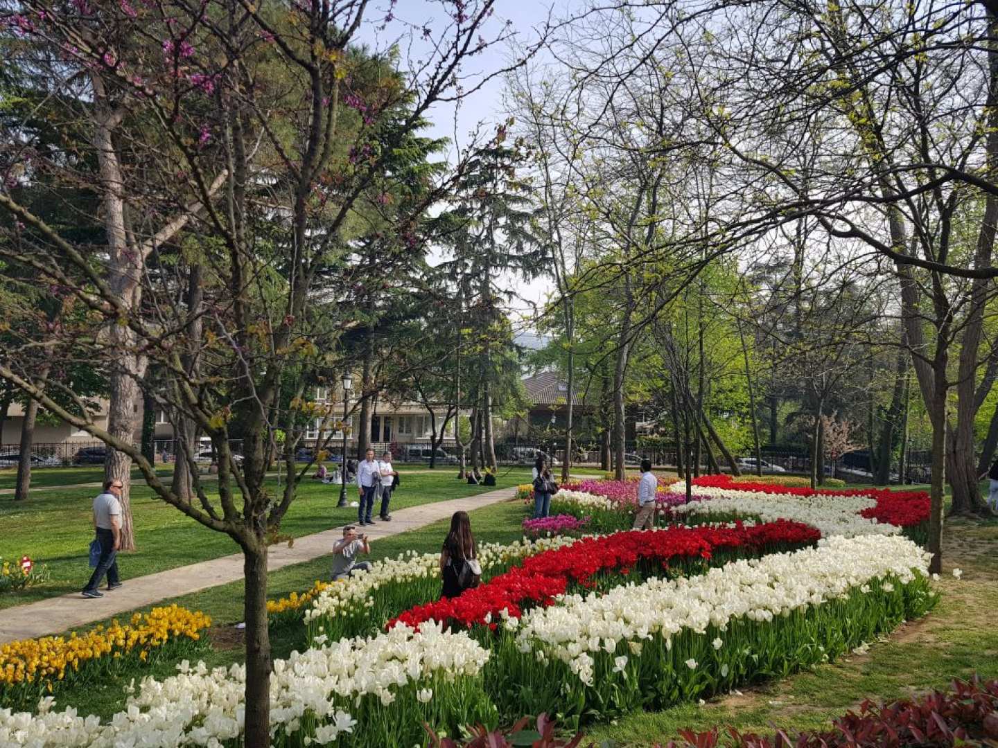 Tiket Turkey Istanbul | Tulip Day Tour | Topkapi Palace, Gulhane Park ...