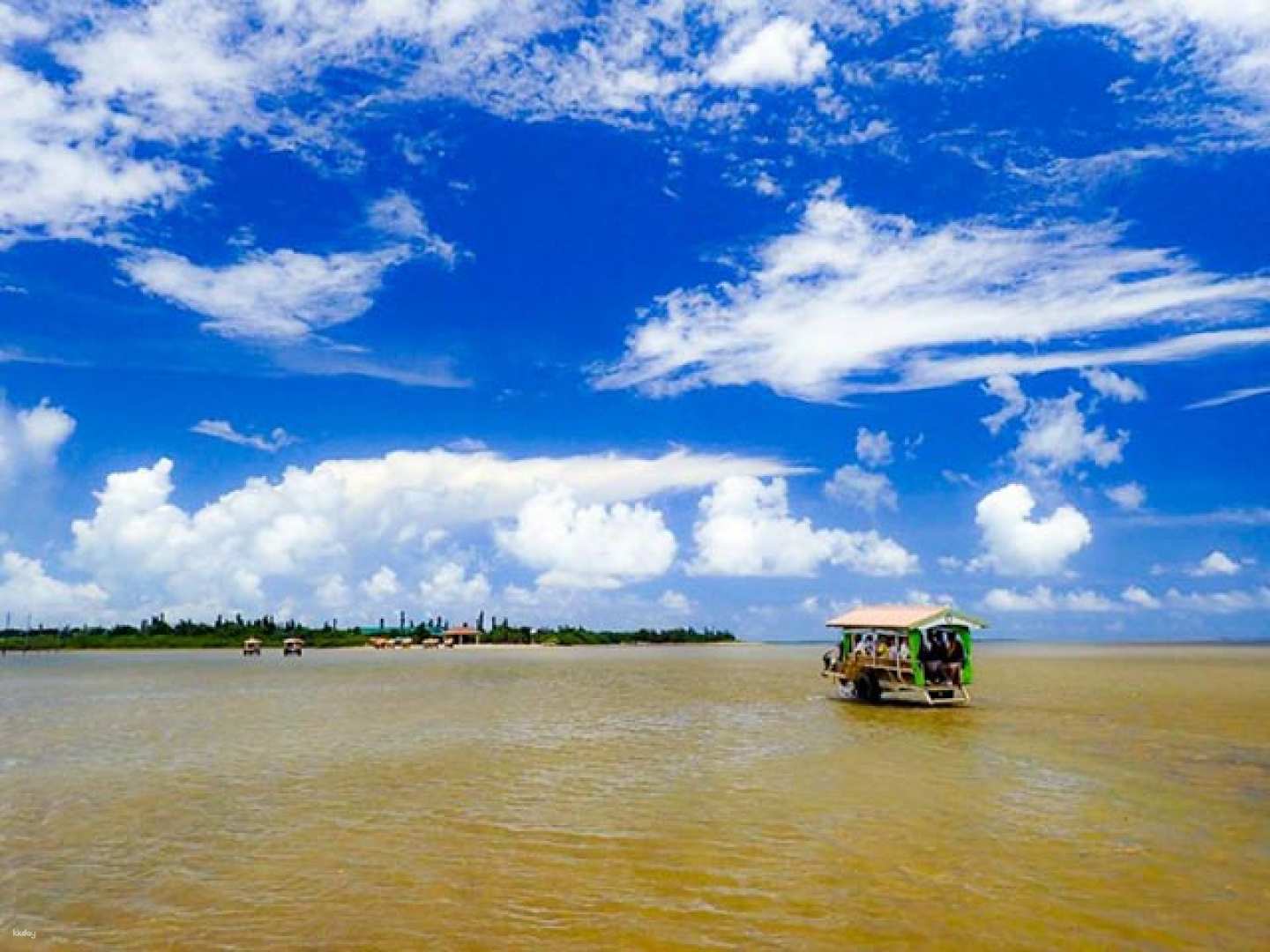 Departing from Ishigaki Island | One-day tour around Iriomote Island ...