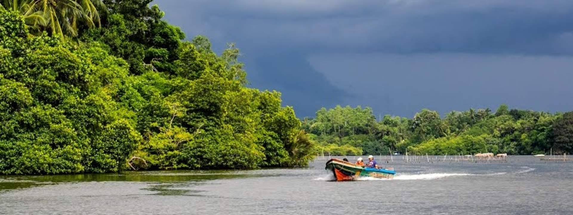 Balapitiya River Safari and Nature Tour from Colombo Tickets 2025