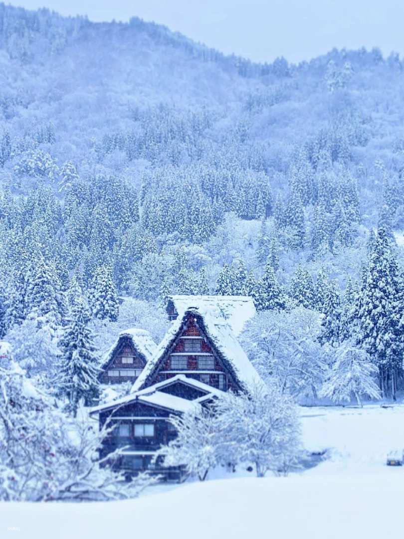 2025 Shirakawa-go Light-up | Hida Takayama + Shirakawa-go Gassho Village + Light-up Day Tour ...