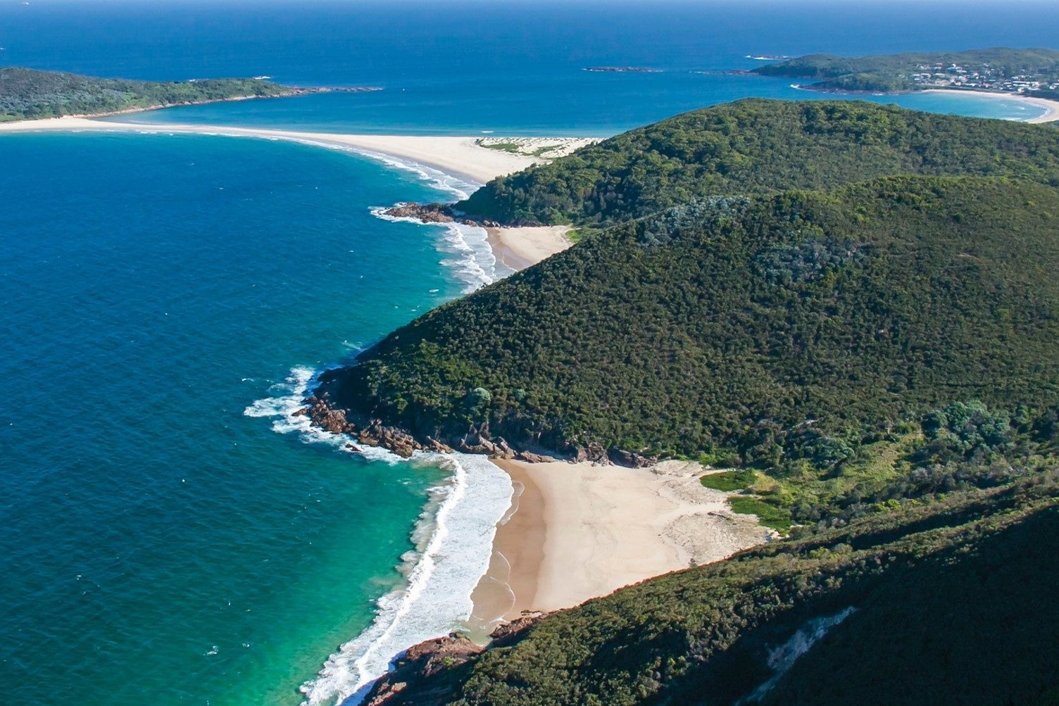 Private Port Stephens Day Trip from Sydney Tickets August 2025
