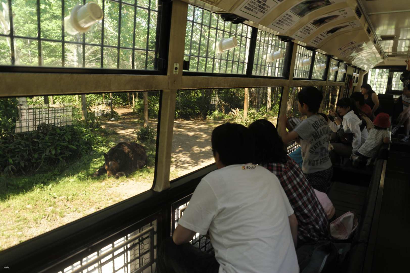 Buy Full-Day Furano Flower Land & Sahoro Bear Mountain Tour from ...