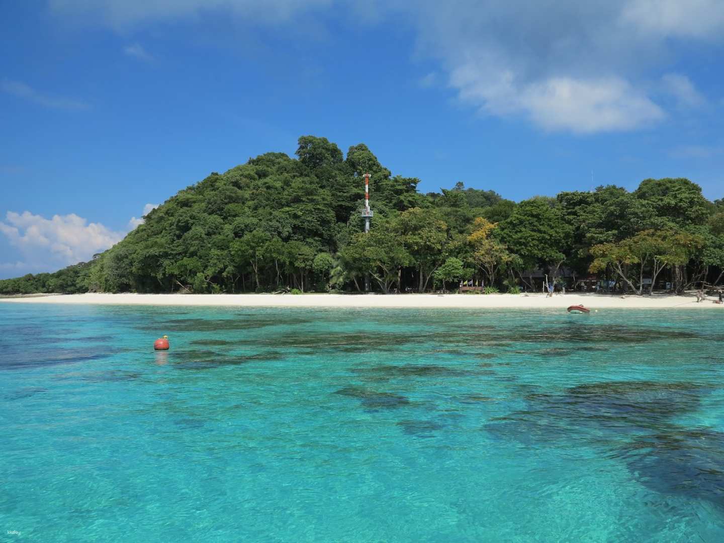 Underwater Fun: Koh Rok & Koh Haa Snorkeling Day Tour from Lanta Island ...