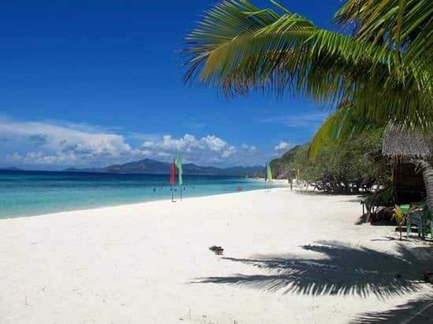 Coron Island Beach Escapade Tour C-1: Đảo Malcapuya, Bãi biển Coco và ...