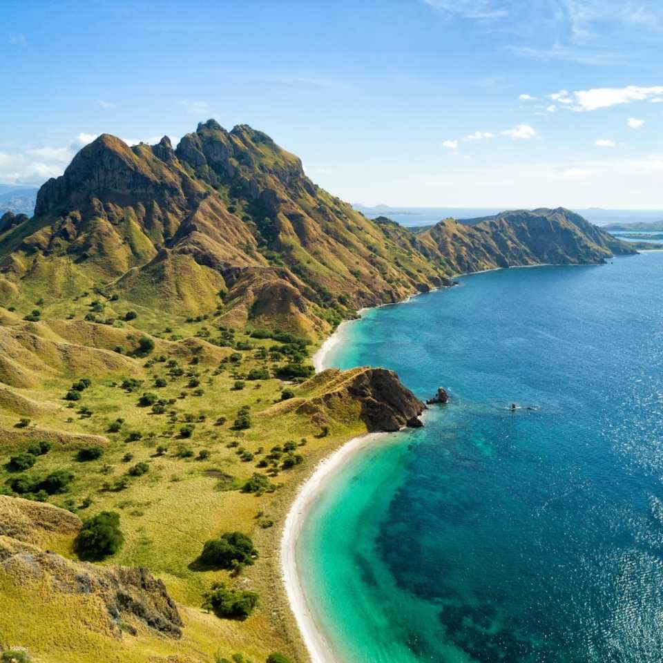 Buy Komodo Treasures Full-Day Island Tour: Komodo National Park, Padar ...