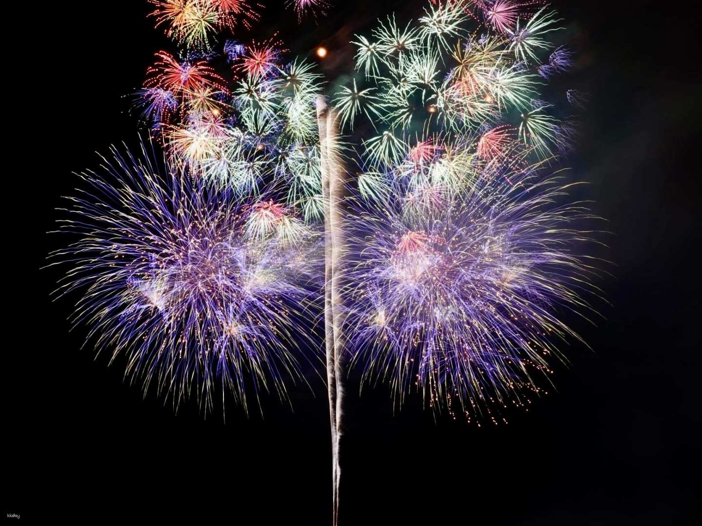 [Limited Time] Zushi Beach Fireworks Festival Day Tour Depart from ...