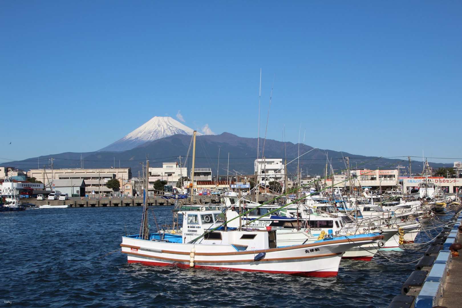 [Izu Bus One Day Tour] Izu Panoramic Park "Ao Terrace" & Izu Specialty ...