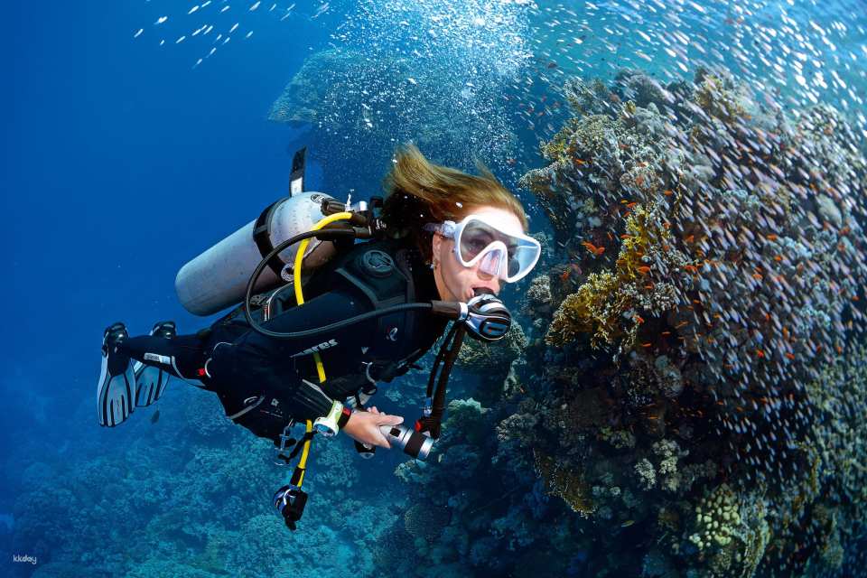 SSI Open Water Diver Certification – 3 Days in Kota Kinabalu, Sabah ...