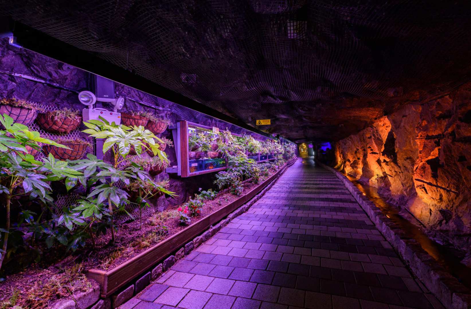 Buy 【One-day tour / Incheon】 Gwangmyeong Cave + Songwol-dong Fairy Tale ...