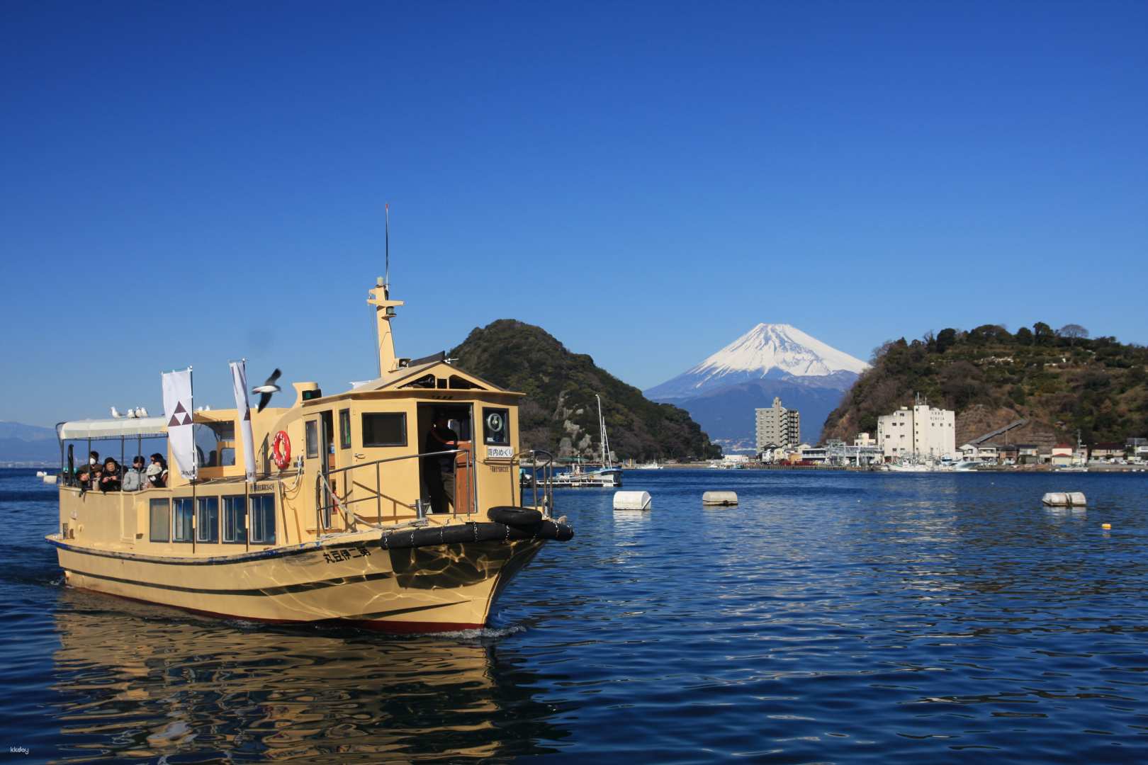 Numazu Port Sightseeing Cruisein Shizuoka | Japan Tickets June 2025