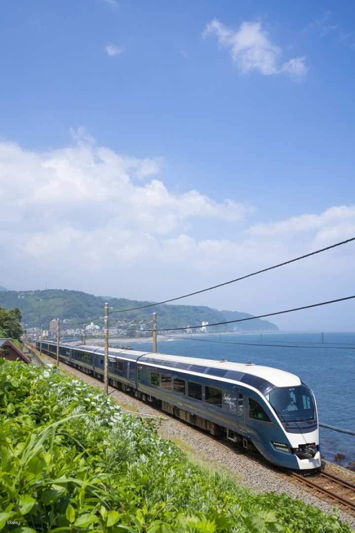Blue Express "Saphir Odoriko" and Red Sightseeing Train "Mt. Fuji View ...