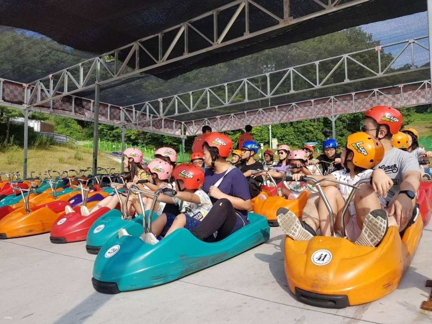 Luge Slope Car, Mini Apple Orchard & Sheep Farm Day Tour from Seoul ...