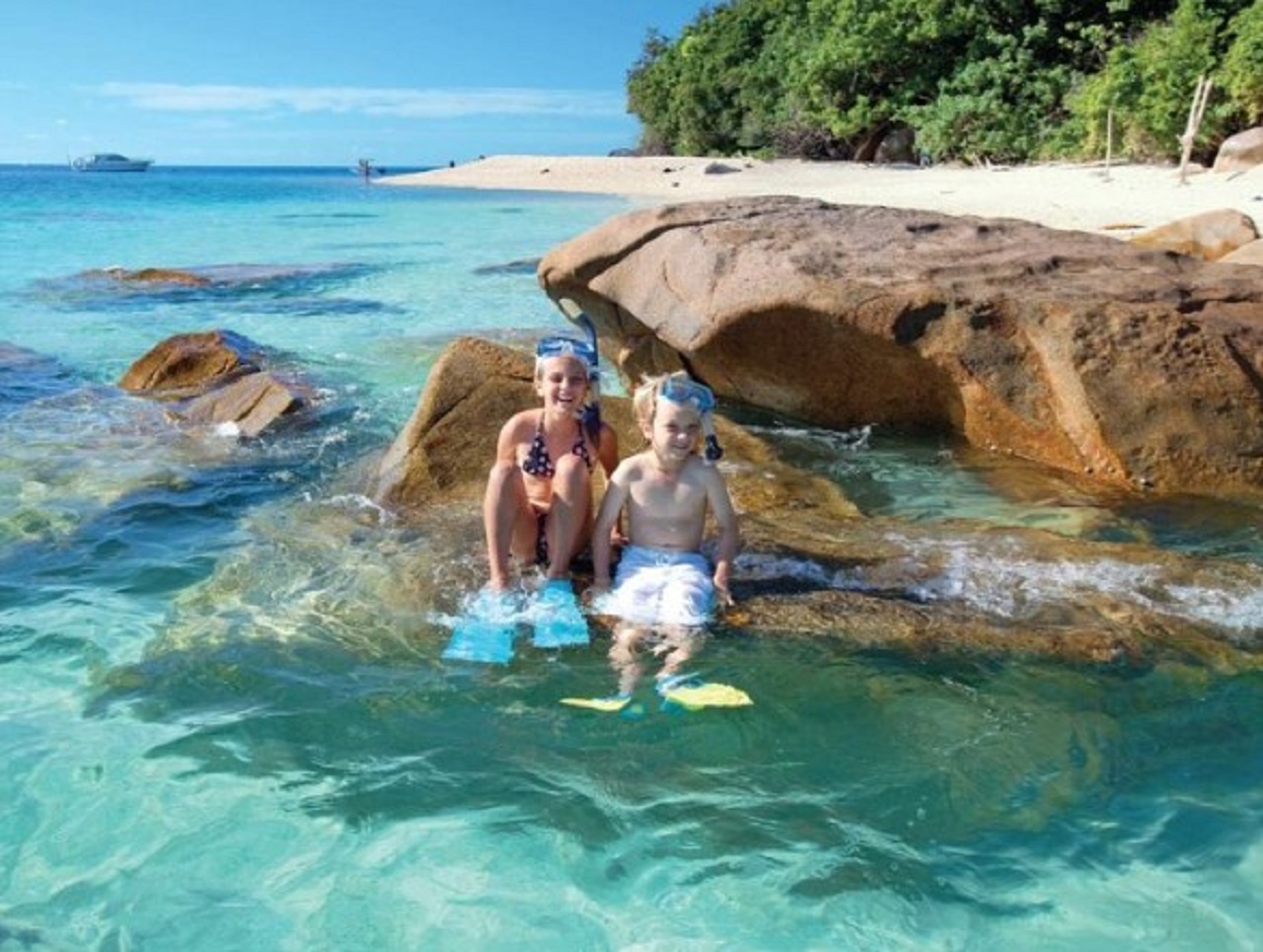 Buy Sunlover Reef Cruise - Moore Reef Full Day Tour + Fitzroy Island ...