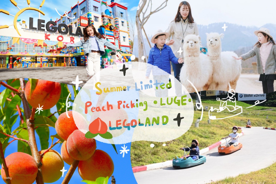 Summer limited peach picking | Nami Island, Alpaca World, Slope Luge ...