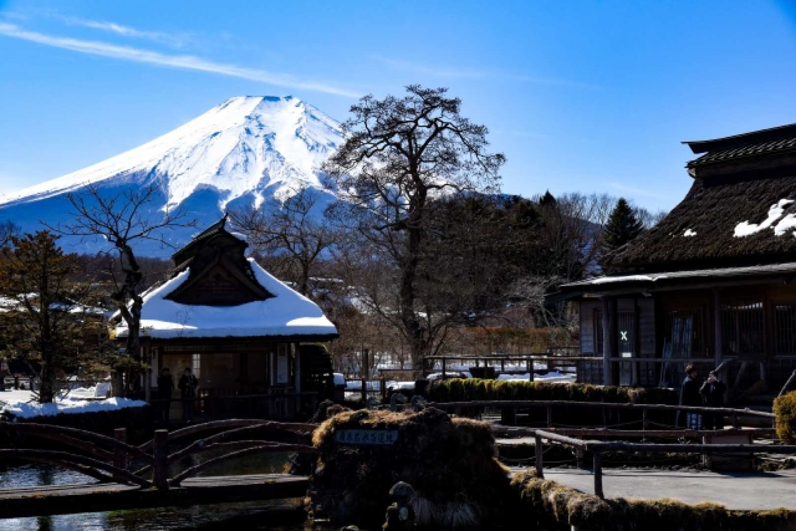 Buy Mt. Fuji Day Tour from Tokyo: Lake Kawaguchi, Oshino Hakkai ...