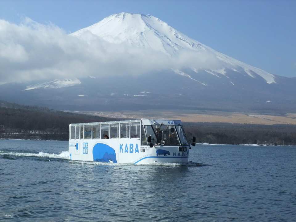 [Exclusive Private charter car] Japan Mt. Fuji Day Tour | Yamanakako ...